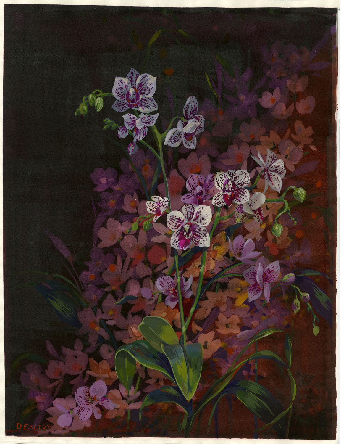 Painter and textile designer Helen Dealtry – Dealtry Designs