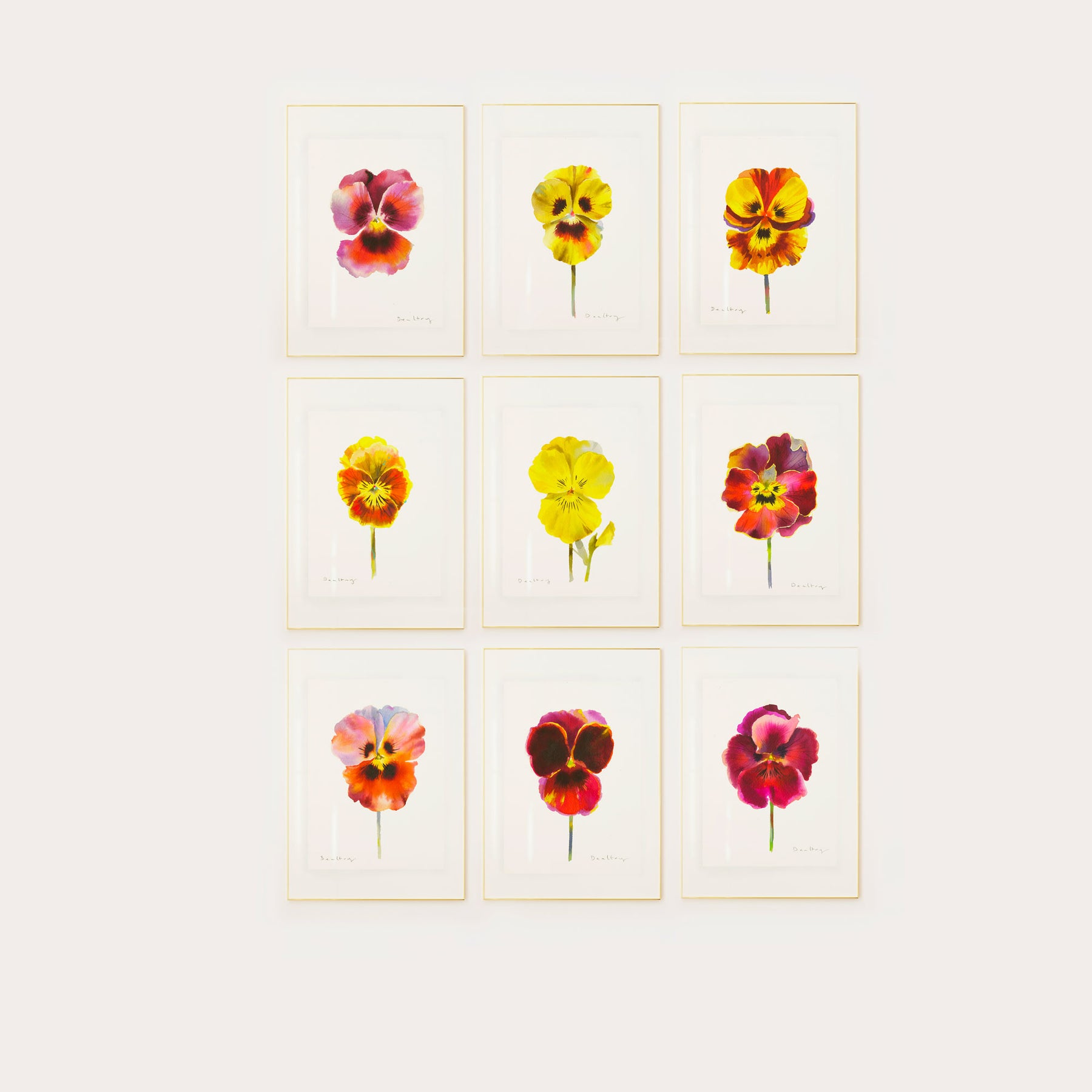 Painter and textile designer Helen Dealtry – Dealtry Designs