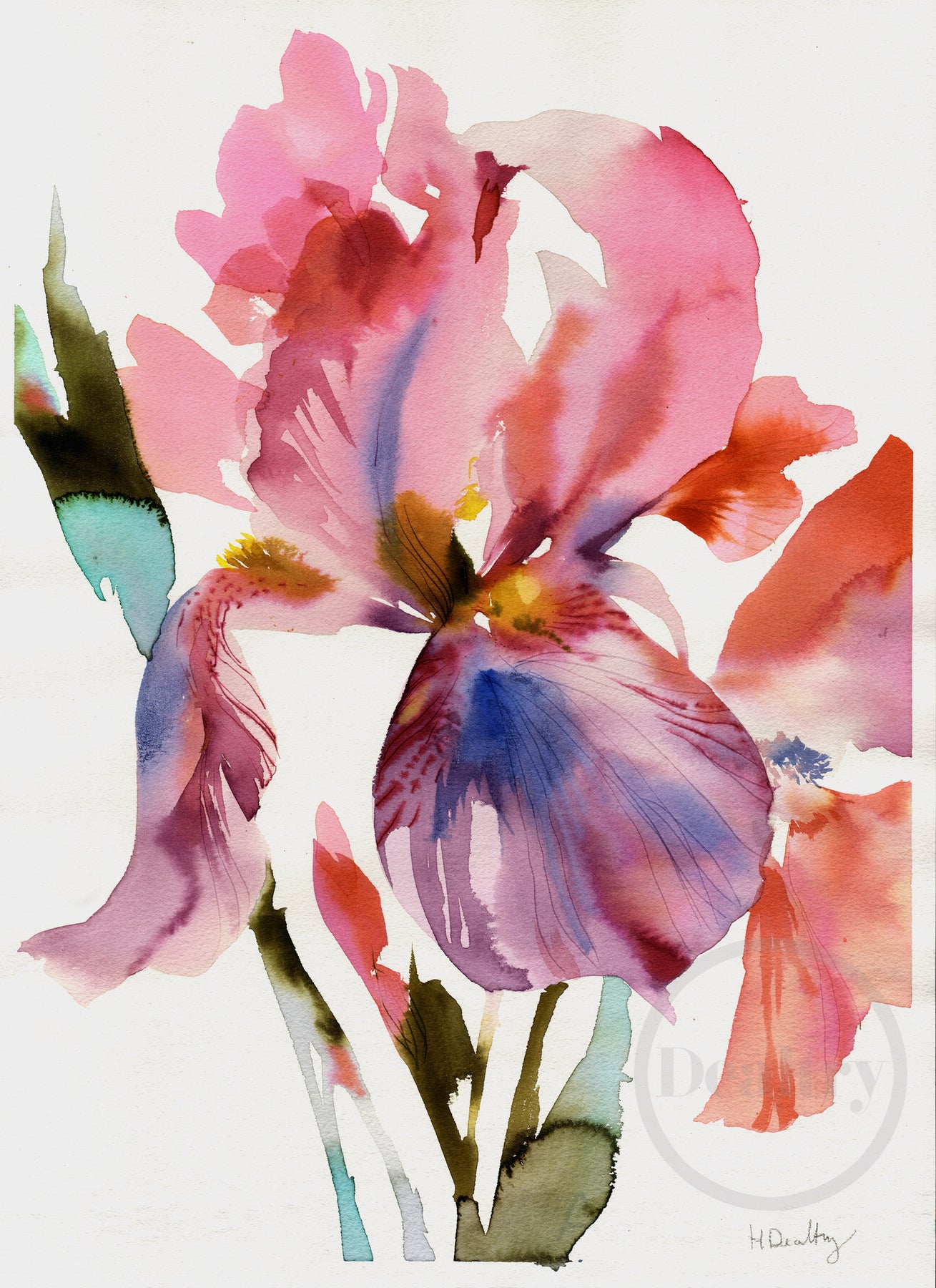 Iris 14 - Print – Dealtry Designs
