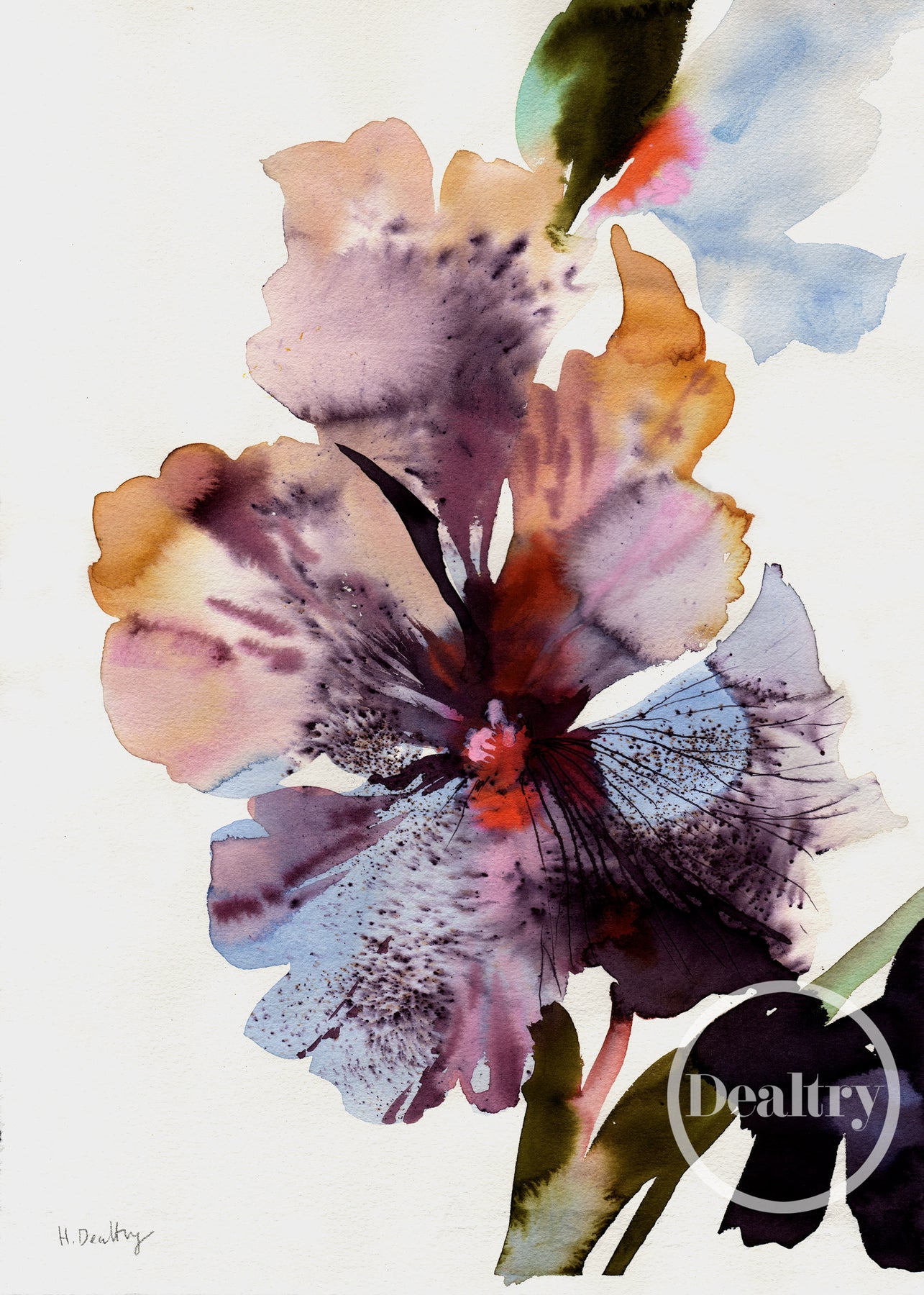 Iris Collection – Dealtry Designs
