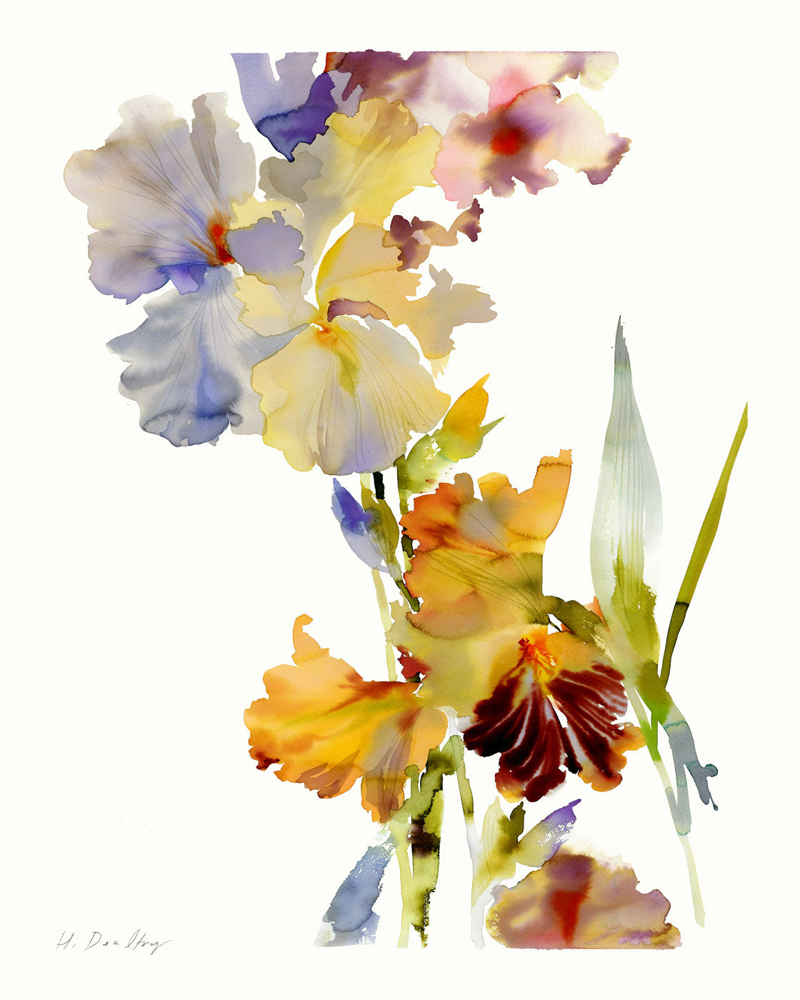 Painter and textile designer Helen Dealtry – Dealtry Designs