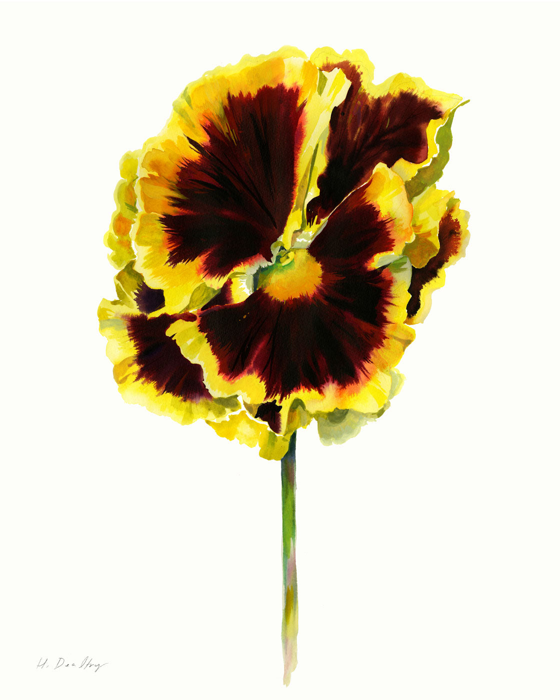 Painter and textile designer Helen Dealtry – Dealtry Designs