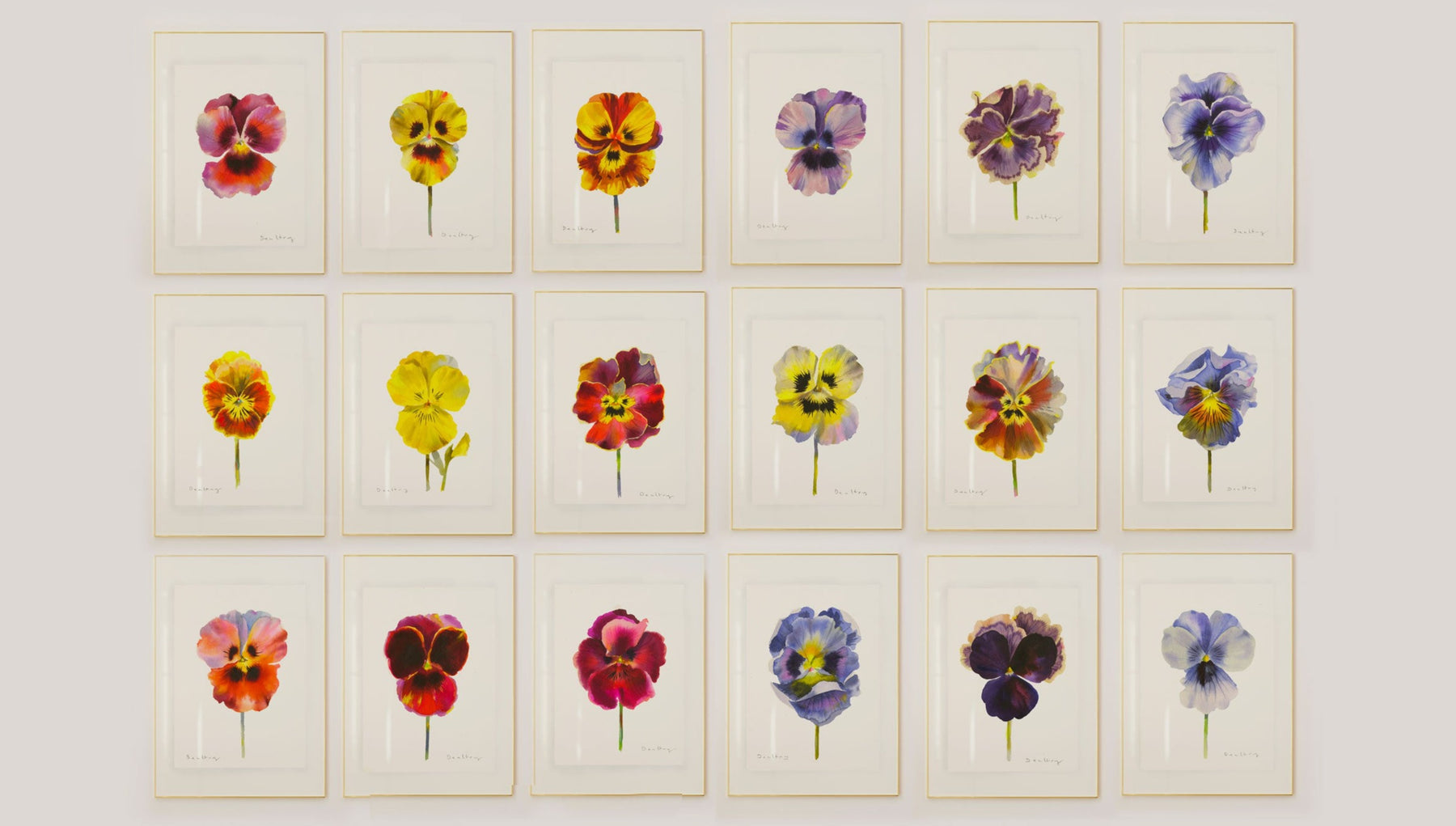 Painter and textile designer Helen Dealtry – Dealtry Designs